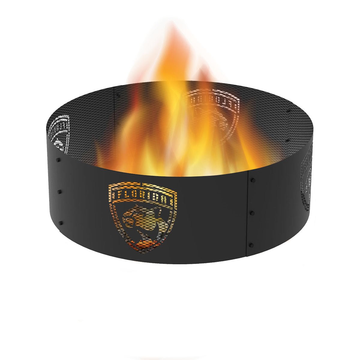 Florida Panthers 36 in. x 12 in. Decorative Steel Fire Ring – Blue Sky ...